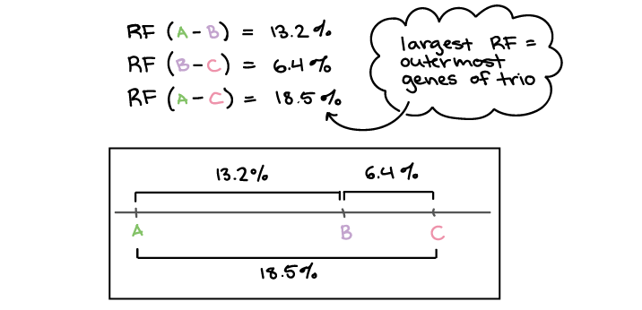 How To Calculate Frequency Biology Haiper