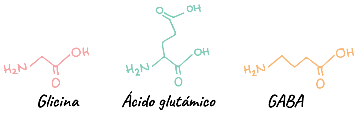 NEUROTRANSMISORES Y CIRCULACIÓN SANGUÍNEA